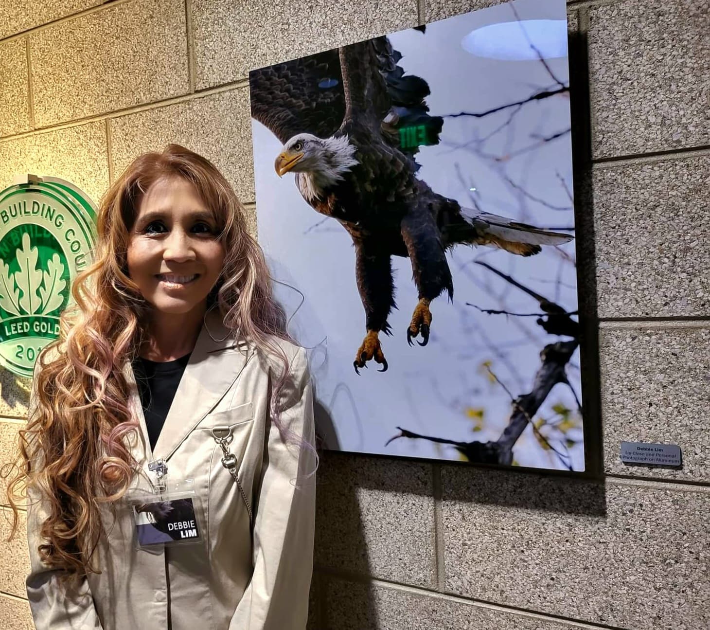 Low Flying Eagle - Debbie Lim